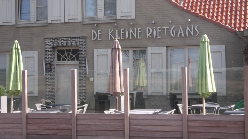 De Kleine Rietgans - Damme - West-Vlaanderen - Salino.be